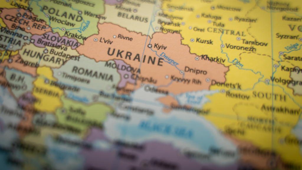 Cesarzowa Internetu Patrycja Dąbrowska: Historia Sukcesu